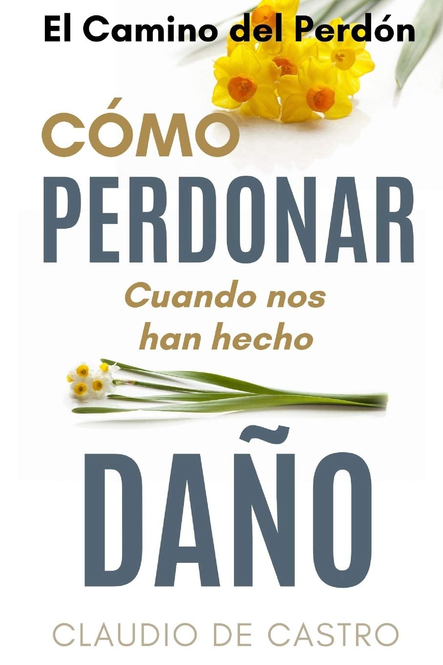 El Camino del Perdón - Edición de Oro: Cómo PERDONAR cuando nos hacen ...