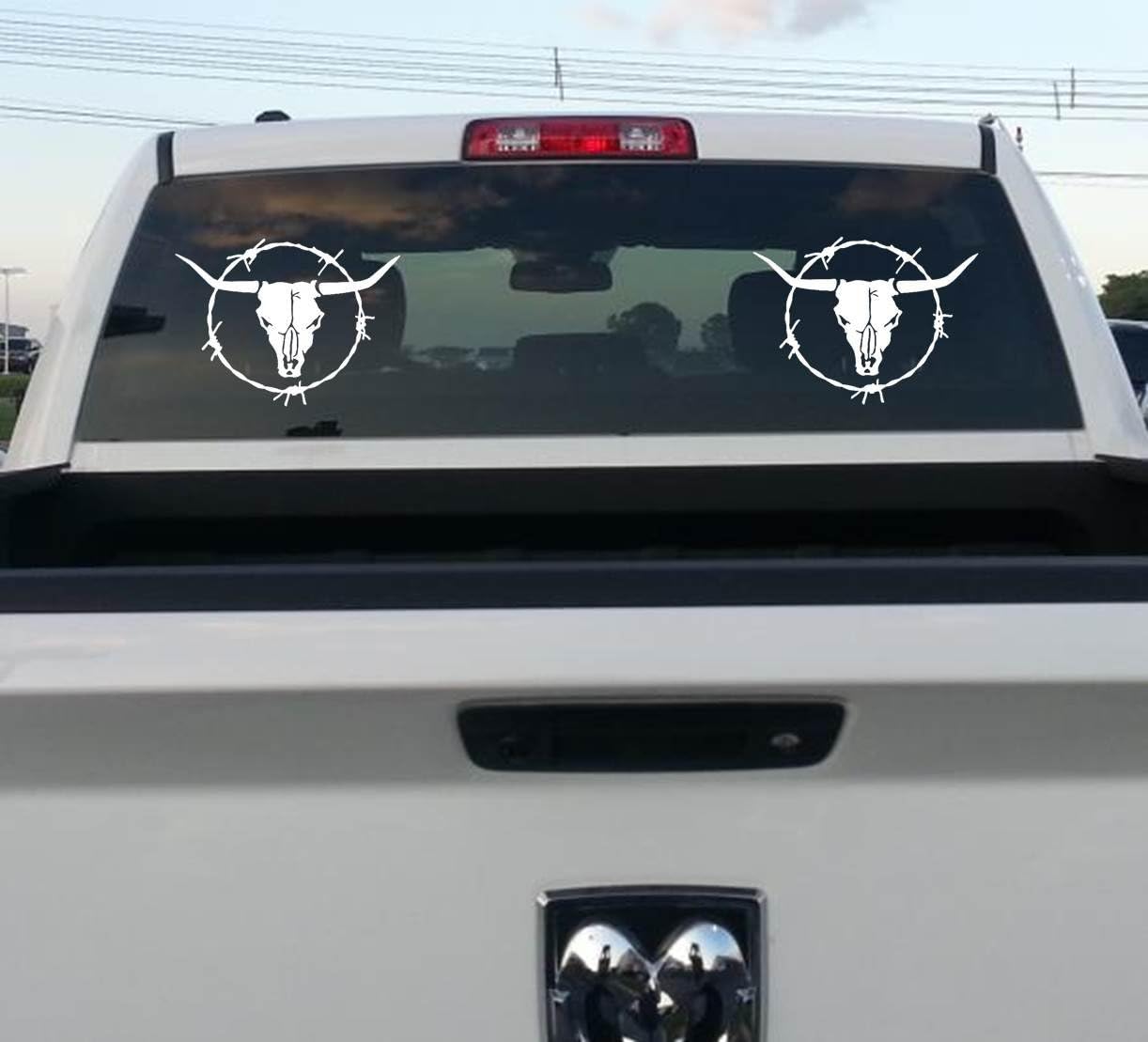Amazon.com: Bluegrass Decals 2-Count Longhorn Bull Cow Skull Barb ...