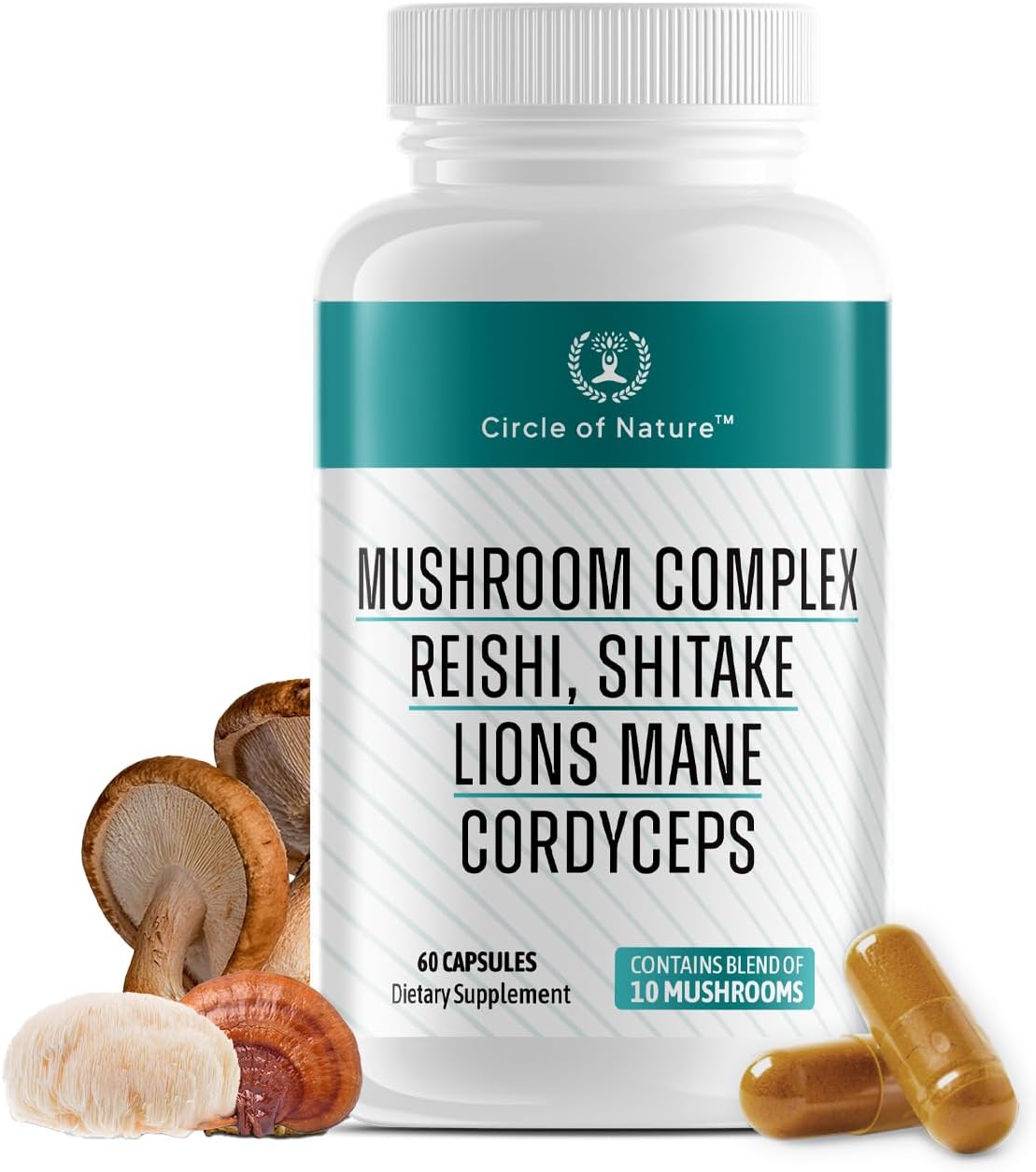 Amazon.com: CIRCLE OF NATURE Brain Boosting Mushrrom Supplement ...
