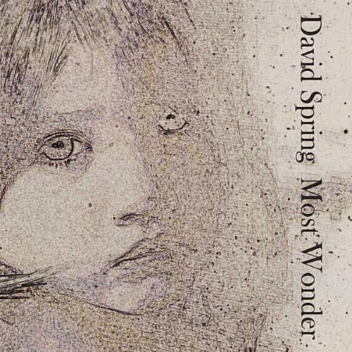 Play Most Wonder by David Spring on Amazon Music