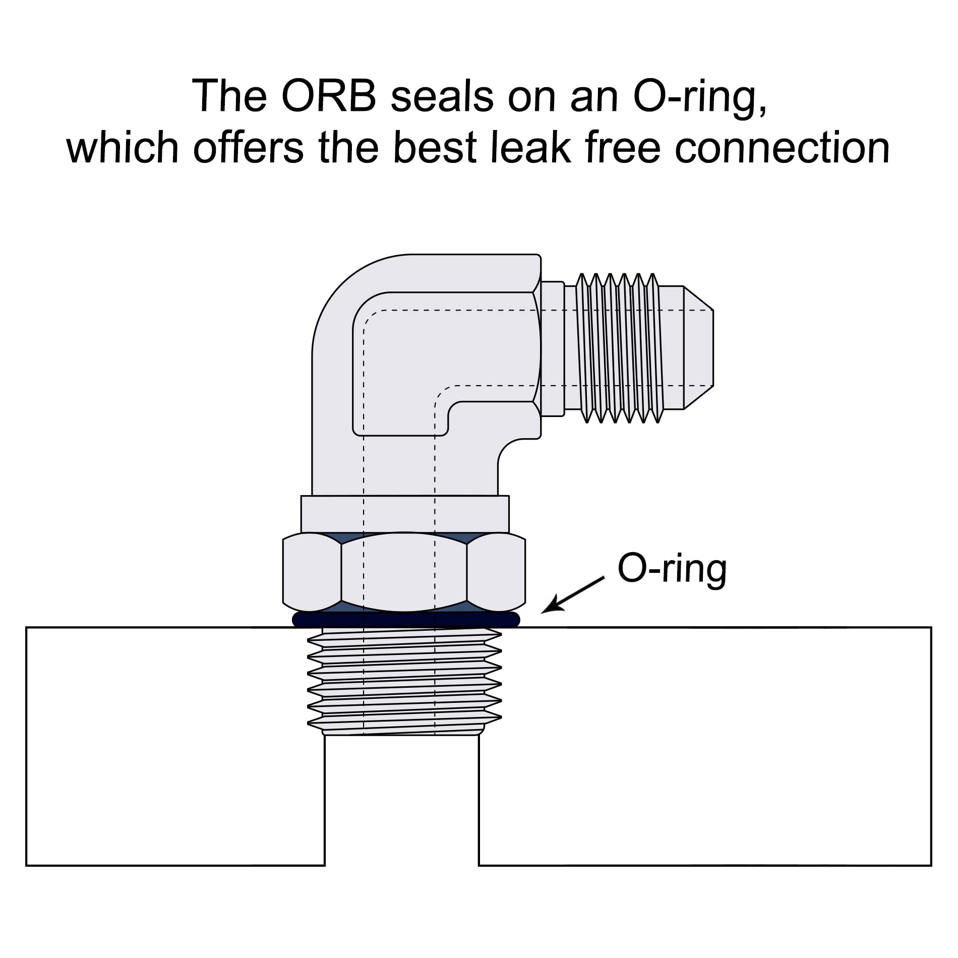 Snapklik.com : 8AN Flare To 8AN ORB Male Swivel Adapter Fitting 90 ...