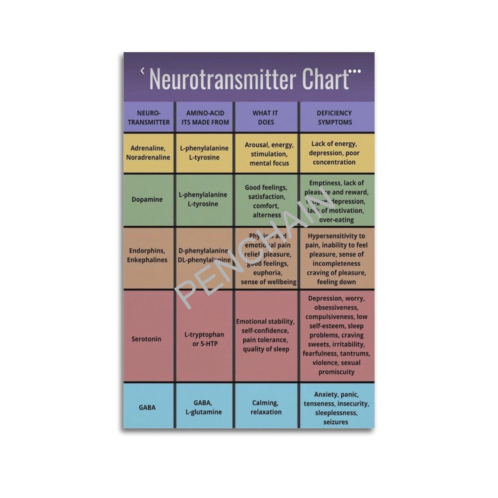 Neurotransmitter Chart