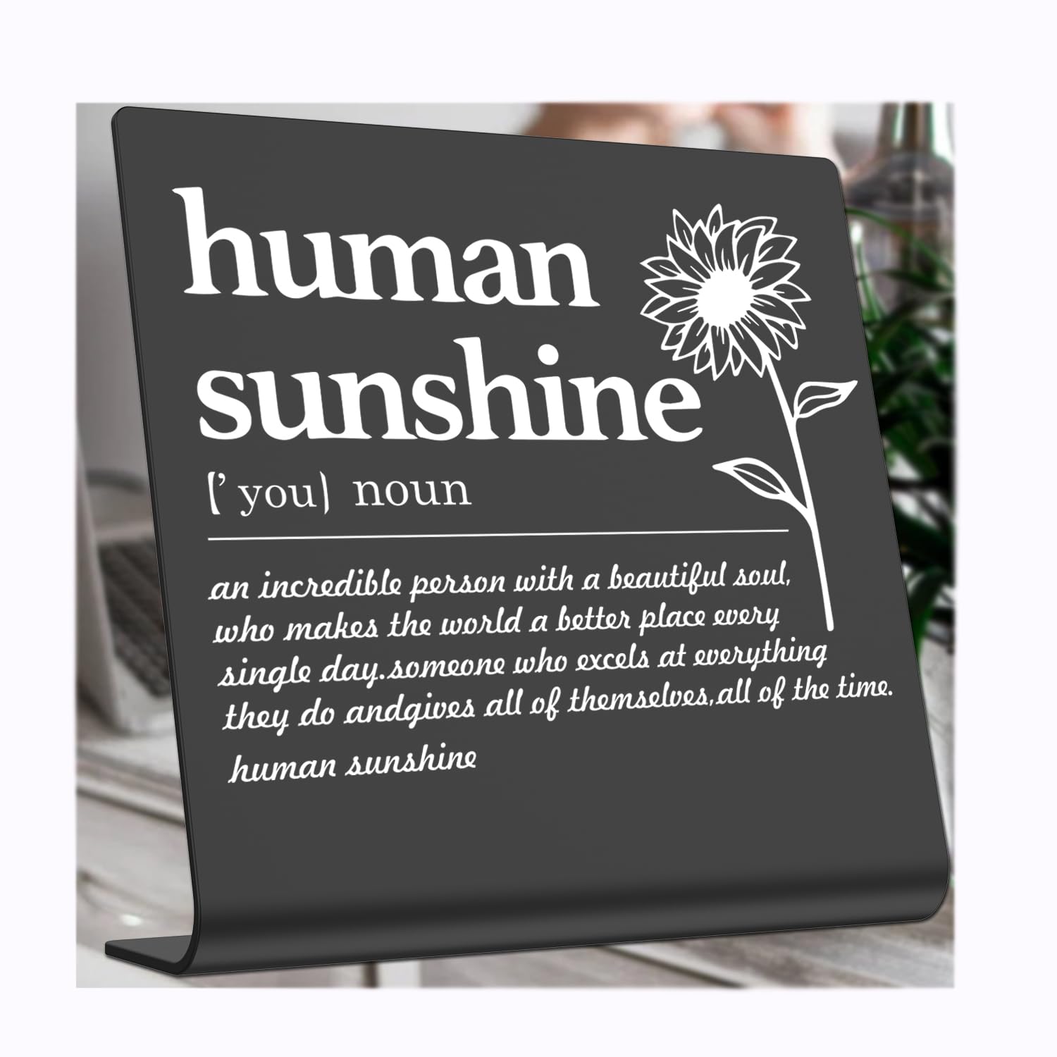 Amazon.com : Human Sunshine Definition Desk Signs Funny Appreciation ...