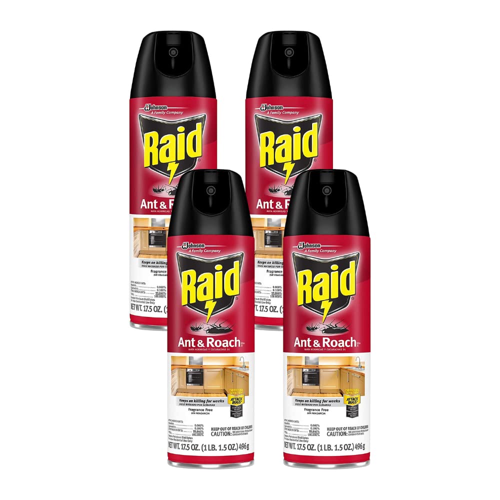 Amazon.com: Raid Ant and Roach Killer Fragrance Free 17.5 Ounce (Pack ...