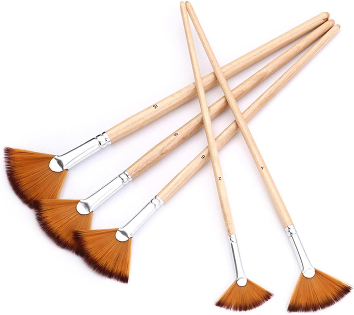 Amazon.com: 5 Pcs Fan Brushes Set Professional Acrylic Paint Brushes ...