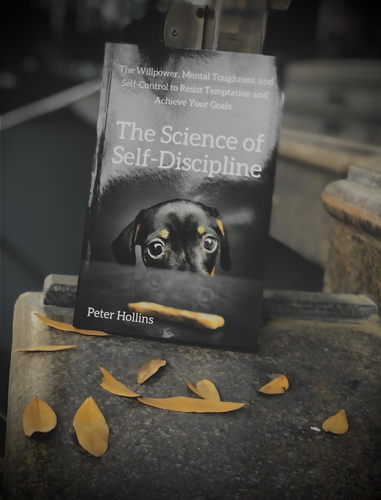 The Science of Self-Discipline : Hollins, Peter: Amazon.in: Books