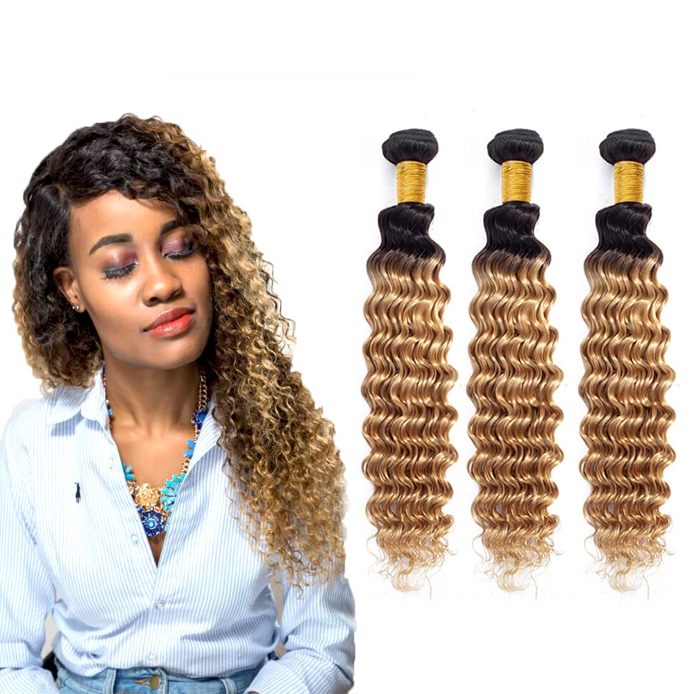 Amazon.com : Ombre Bundles Blonde Deep Wave Blonde Bundles Human Hair #1B/27 Honey Blonde ...