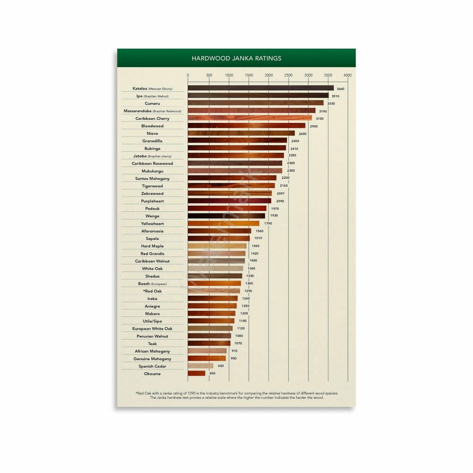 Amazon.com: FITGNDD Janka Hardness Scale Poster Wood Hardness Grade ...