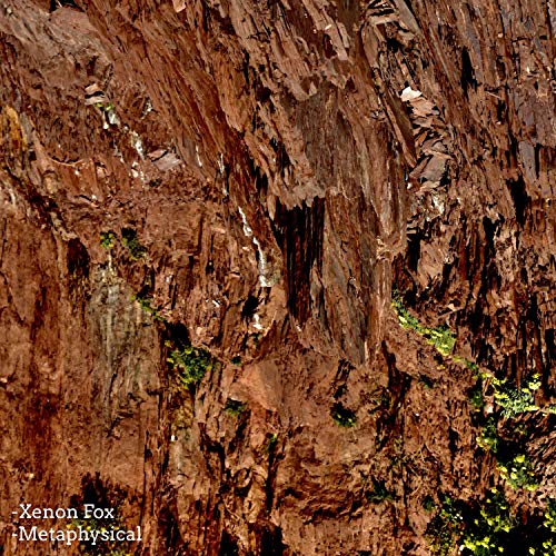 Metaphysical by Xenon Fox on Amazon Music - Amazon.com