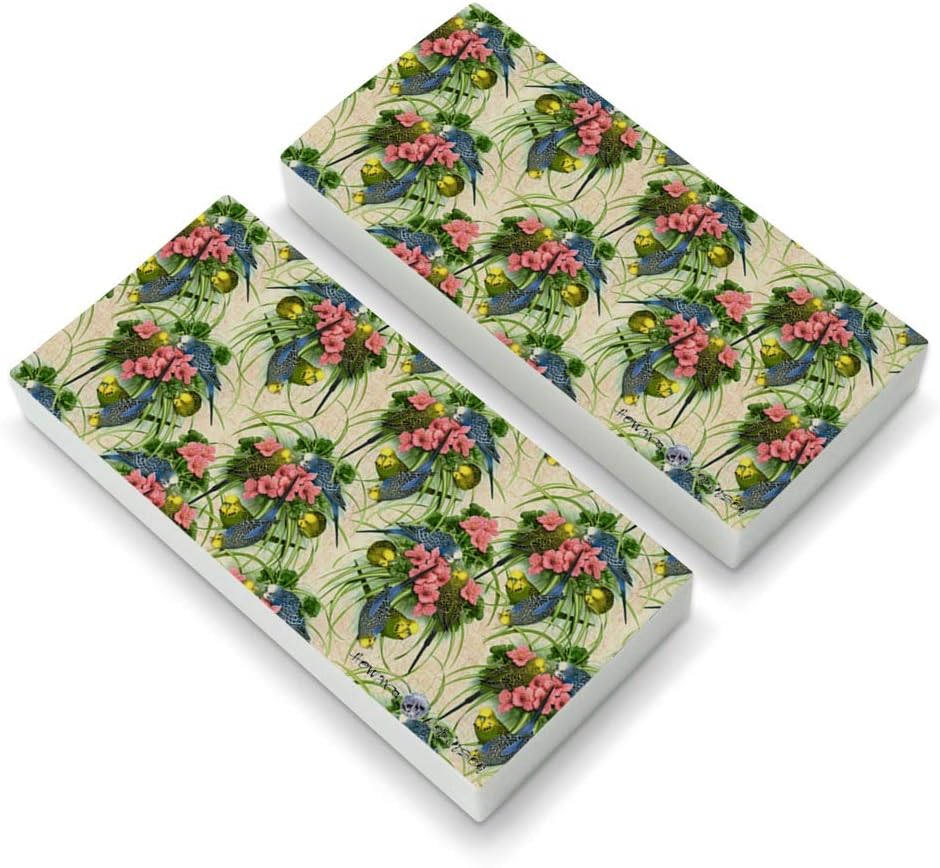 Amazon.com: Budgie Budgerigar Parakeet Bird Pattern Eraser Set of 2 ...