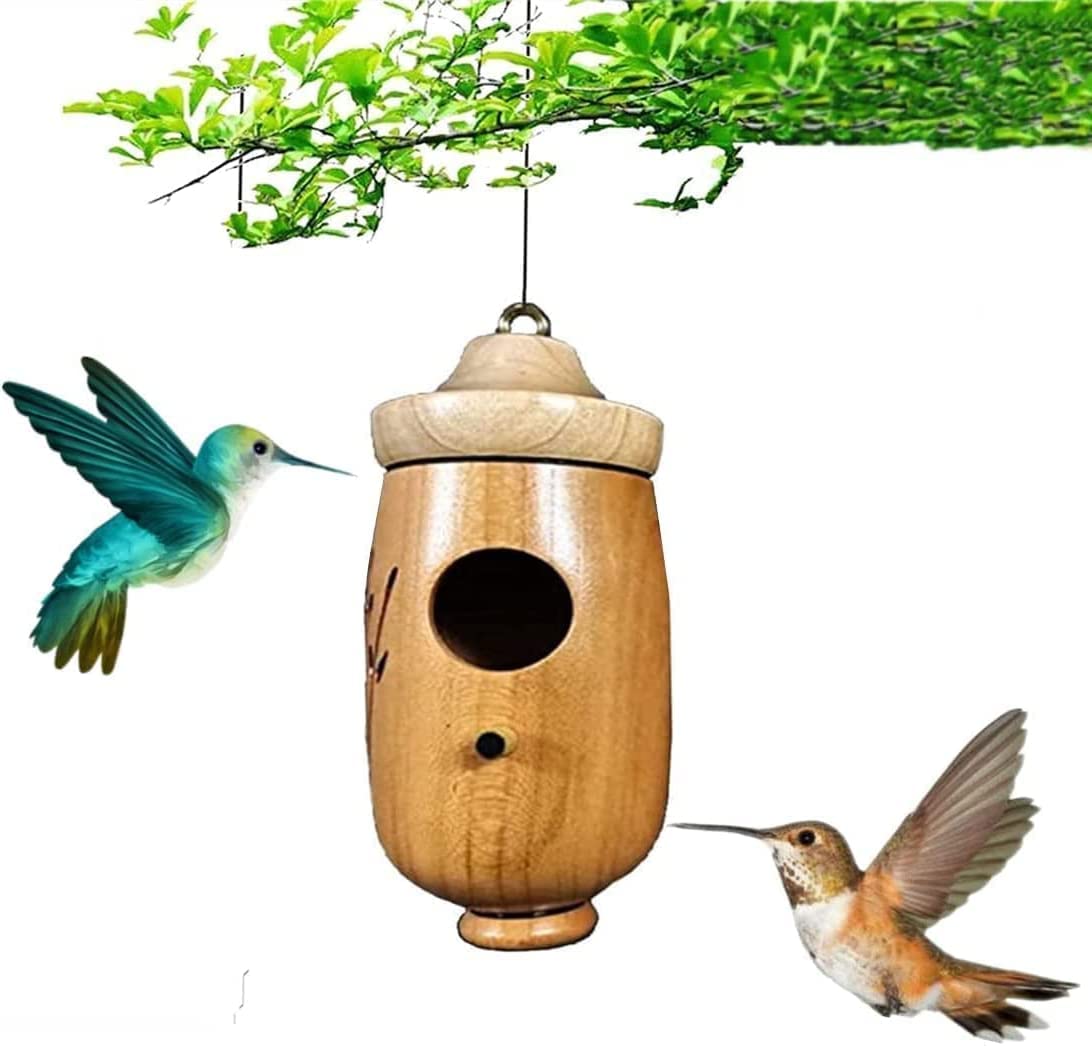 Hummingbird Nest Size