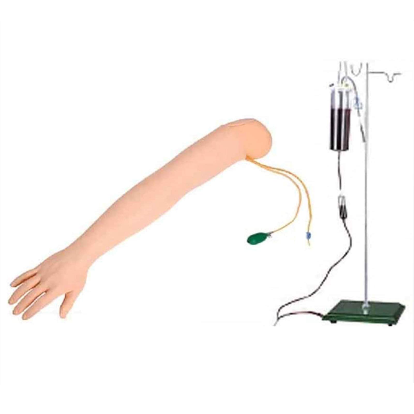 Buy JL IV Practice Arm Infusion Model, Arterial Puncture And ...