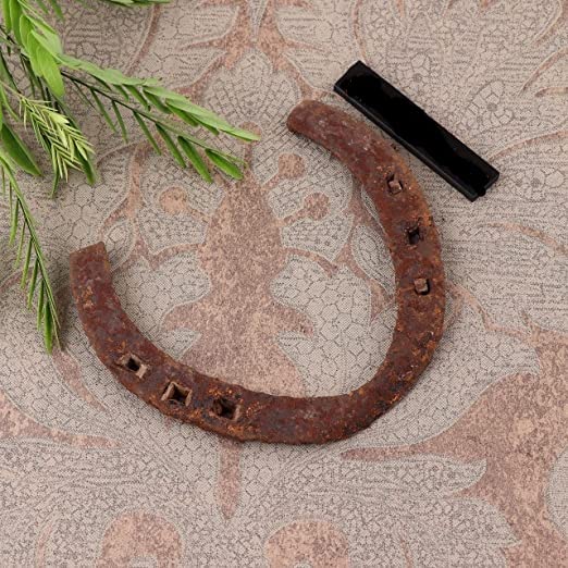 Rudraksha Original Black Horse Shoe | ghode ki naal ki for Good Wealth ...