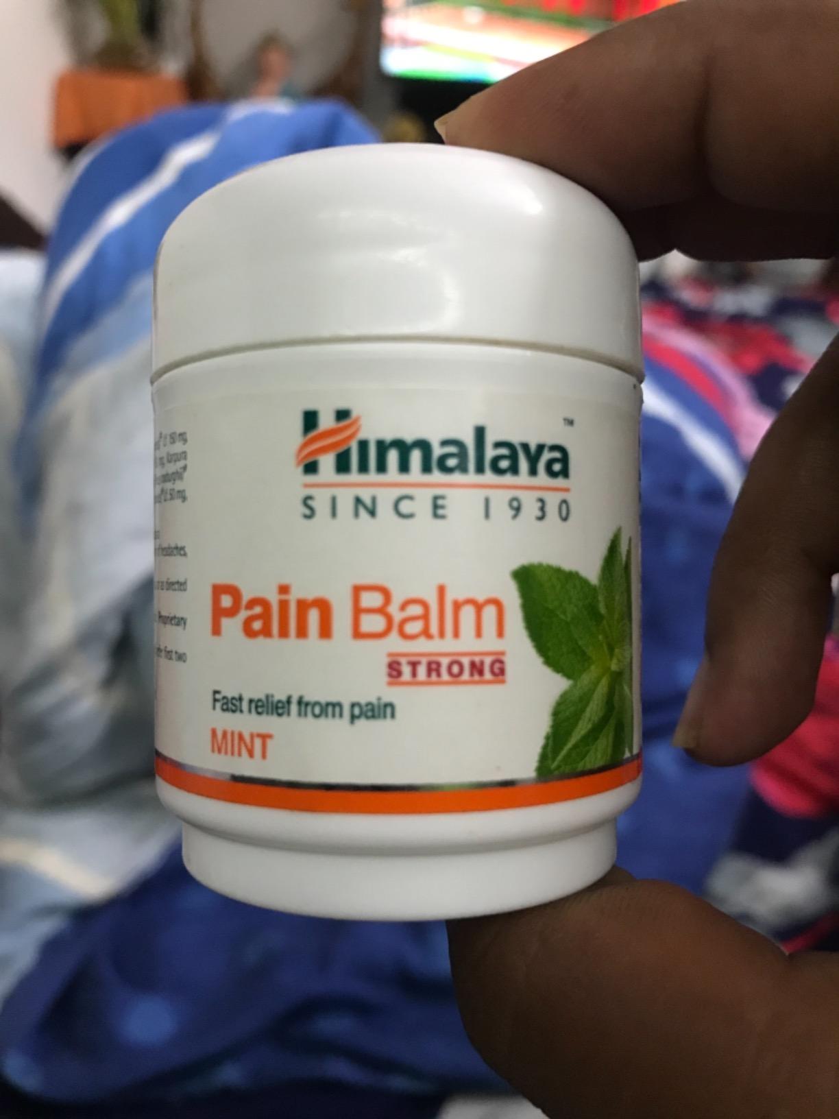 Himalaya Pain Balm - Strong, 45g Pack : Amazon.in: Health & Personal Care