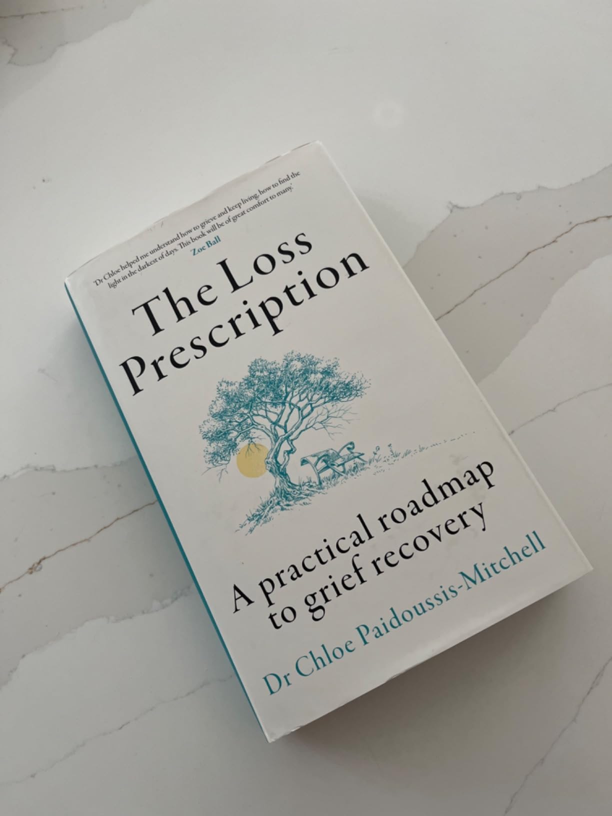 The Loss Prescription: A practical roadmap to grief recovery: Amazon.co.uk: Paidoussis-Mitchell ...