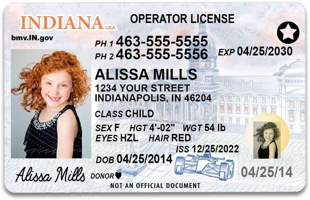 Amazon.com: 1 Cute Pooch Kid Novelty Driver License Child Safety ...