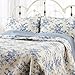 Amazon.com: Laura Ashley Collette Cotton Quilt Set, Twin : Home & Kitchen