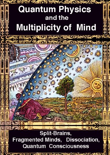 Amazon.com: Quantum Physics and the Multiplicity of Mind: Split-Brains ...