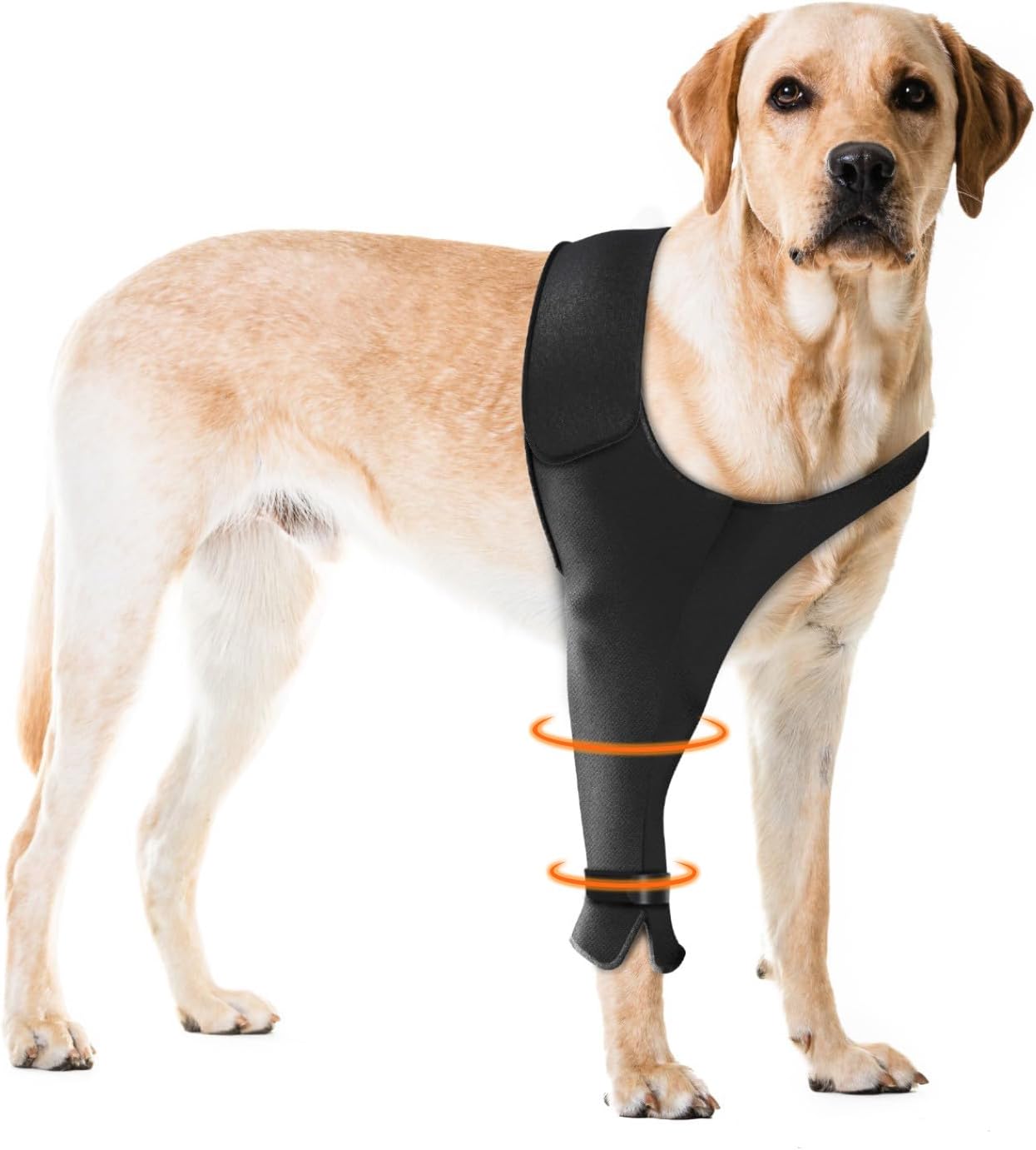 Amazon.com : Pawfun Dog Recovery Sleeve for Front Leg, Breathable Dog ...