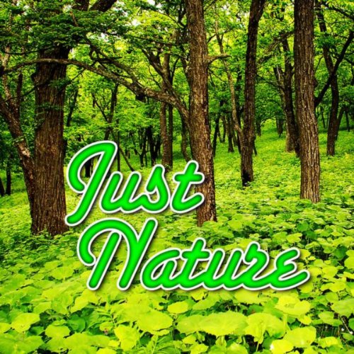 Play Just Nature by Sounds of Nature on Amazon Music