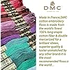 Amazon.com: DMC Embroidery Floss, Anniversary Collection Pack. 36 ...
