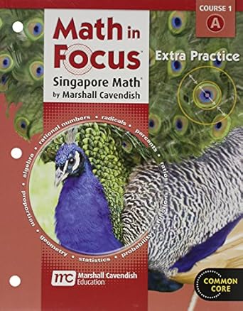 Buy Math in Focus: Singapore Math Extra Practice Book Grade 6 (A) Book ...