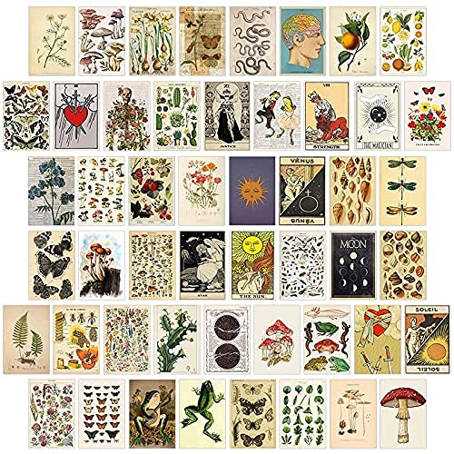 Buy 50Pcs Vintage Botanical Tarot Aesthetic Wall Collage Kit Flora and ...
