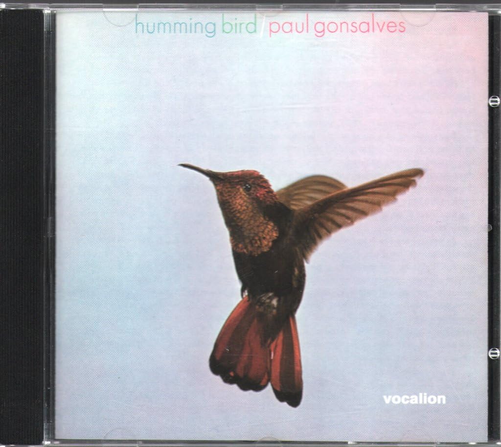 Amazon.com: Humming Bird: CDs & Vinyl