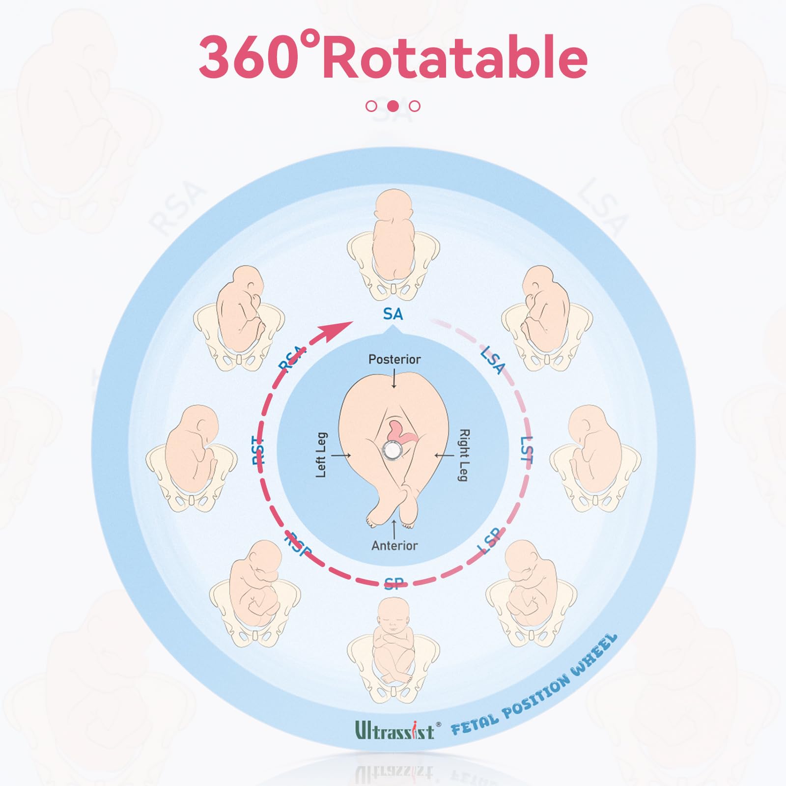 Snapklik.com : Midwife Fetal Position Tool - Small Size 5.12", Fetal ...