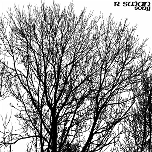 Amazon.com: Song : R Swan: Digital Music