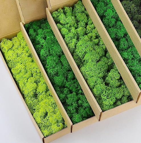Amazon Best Sellers: Best Floral Moss