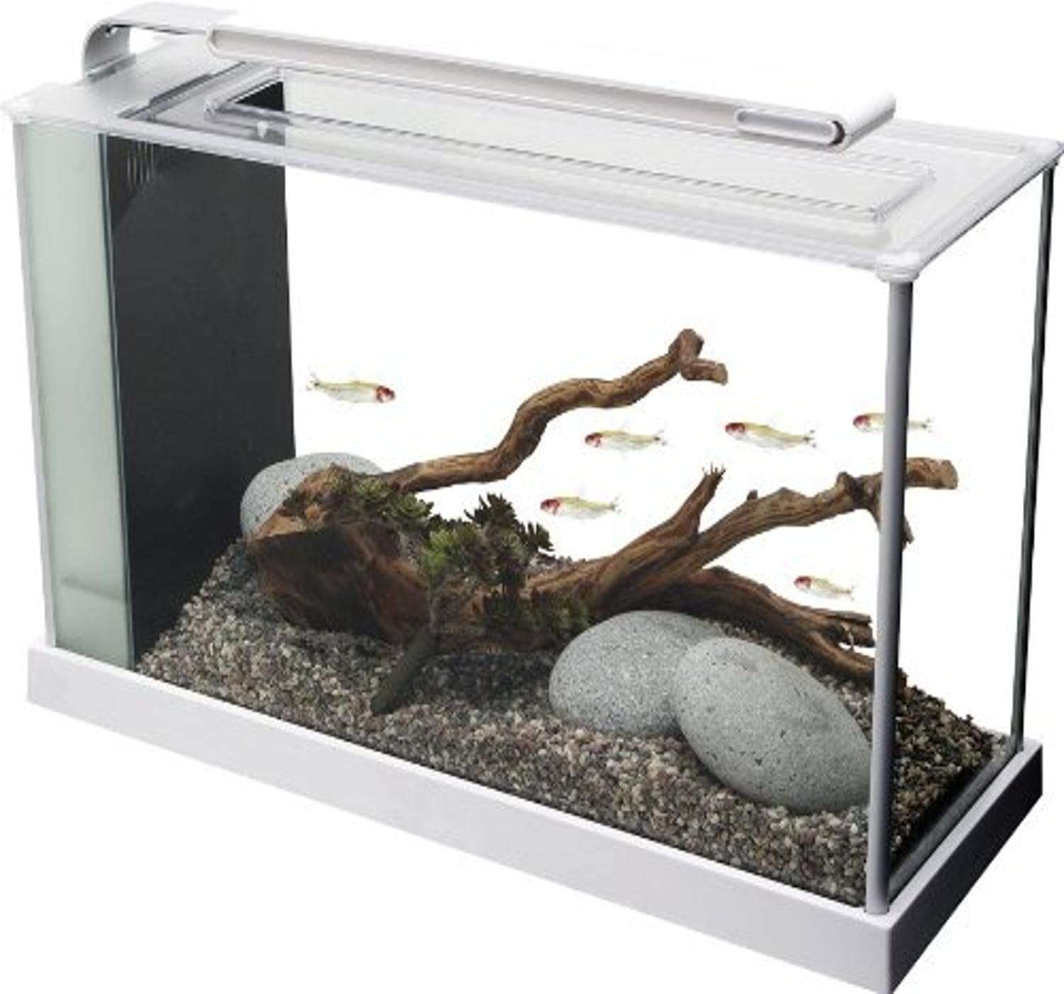 Amazon.com : Fluval Flex 15 Aquarium Kit - Fish Tank for Fish & Plants ...