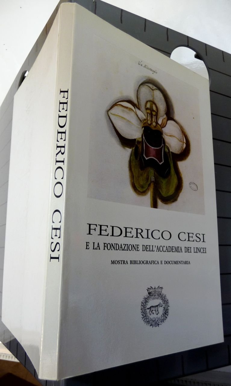 Amazon.com: Federico Cesi e la fondazione dell'Accademia dei Lincei ...