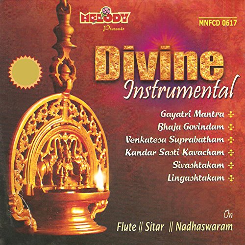Amazon.com: DIVINE INSTRUMENTAL : VARIOUS ARTISTS: Digital Music