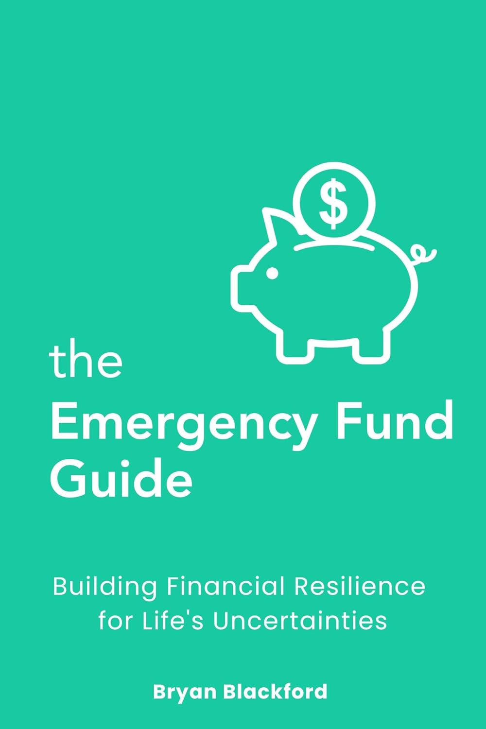 Amazon.com: the Emergency Fund Guide: Building Financial Resilience for ...