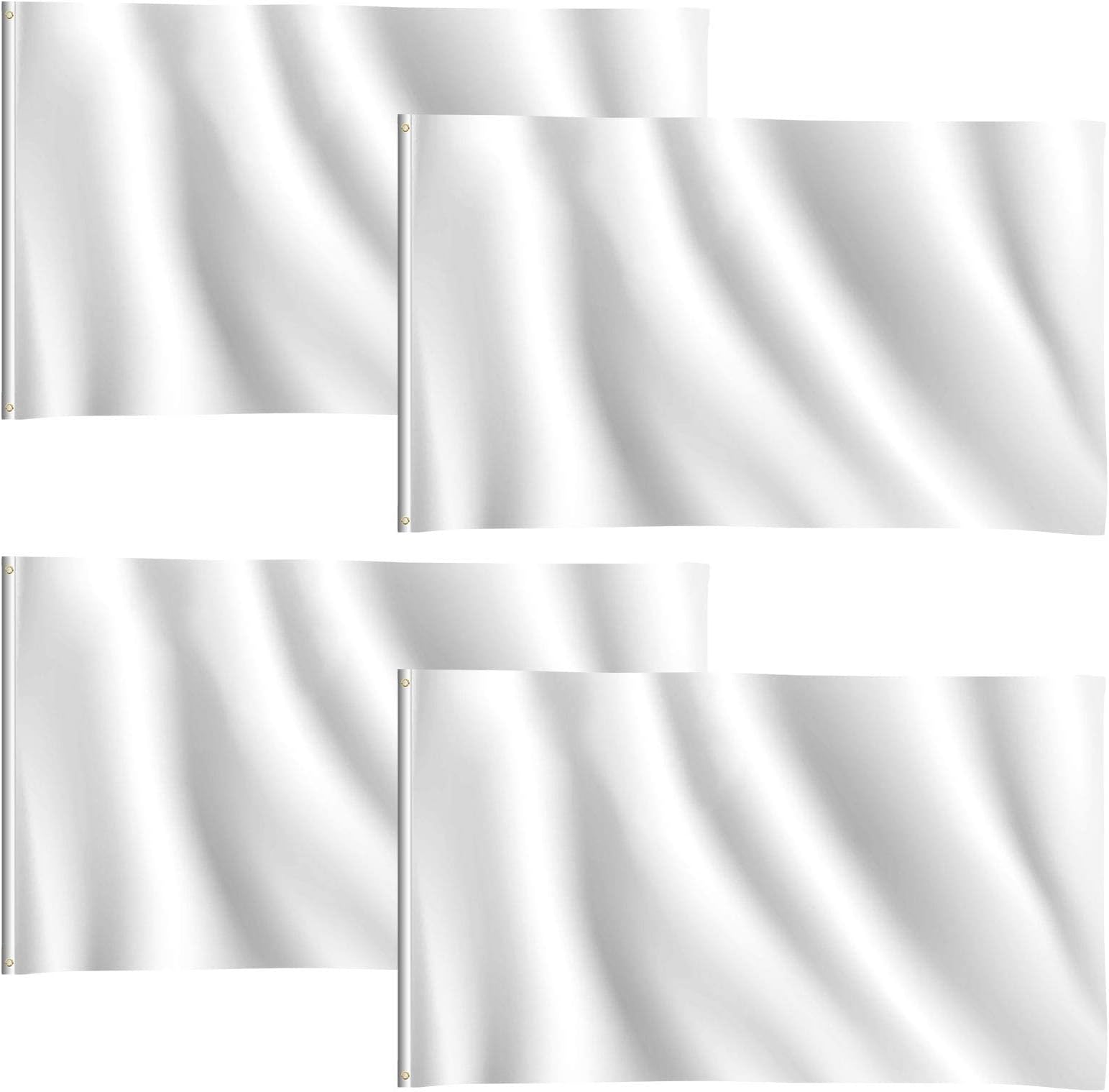 Amazon.com : Quality Standard Flags STIBwhite One Dozen White Stick ...