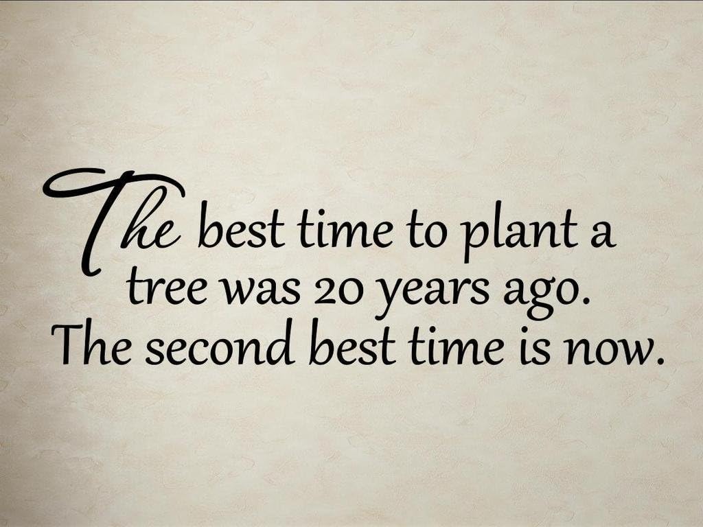 Vinylsay "The best time to plant a tree was 20 years ago. The second ...