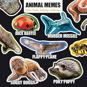 Animal Memes Daily 2021 Calendar | Amazon.com.br