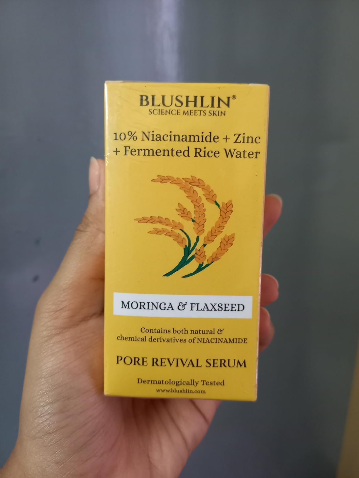 BLUSHLIN 10% Niacinamide Serum for Glowing & Brightening Skin with Vitamin C | Alpha Arbutin ...