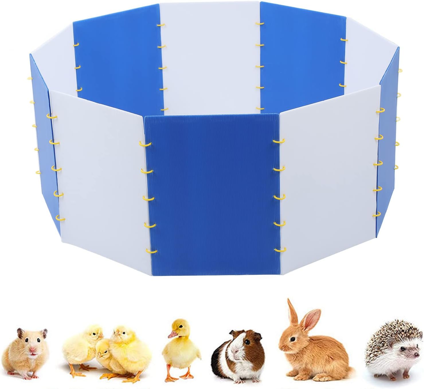 Amazon.com : Baby Chick Starter Home Kit, Reusable DIY Baby Chick ...