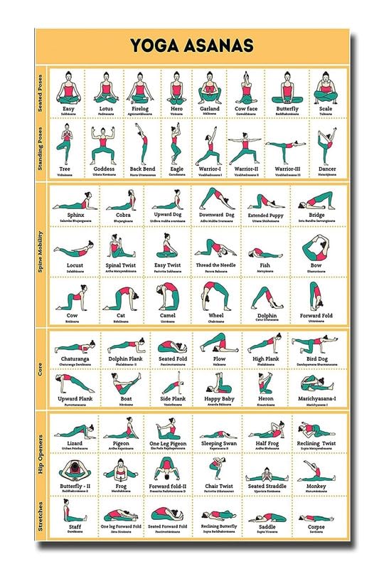 Buy PIXELARTZ Wall Yoga Poses & Mudras Wall 64 Asanas HD Quality ...