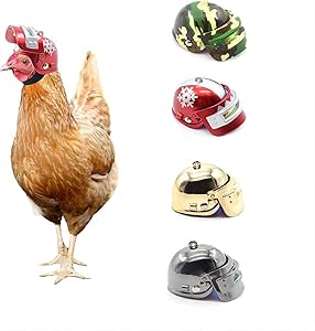 Amazon.com: KAYNO 4 Pcs Chick Helmet, Cool Hen Helmet, Pet Chick ...