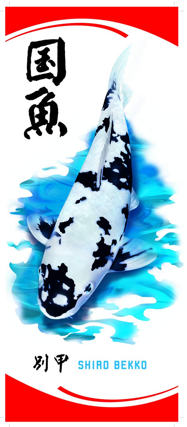 Bekko Koi