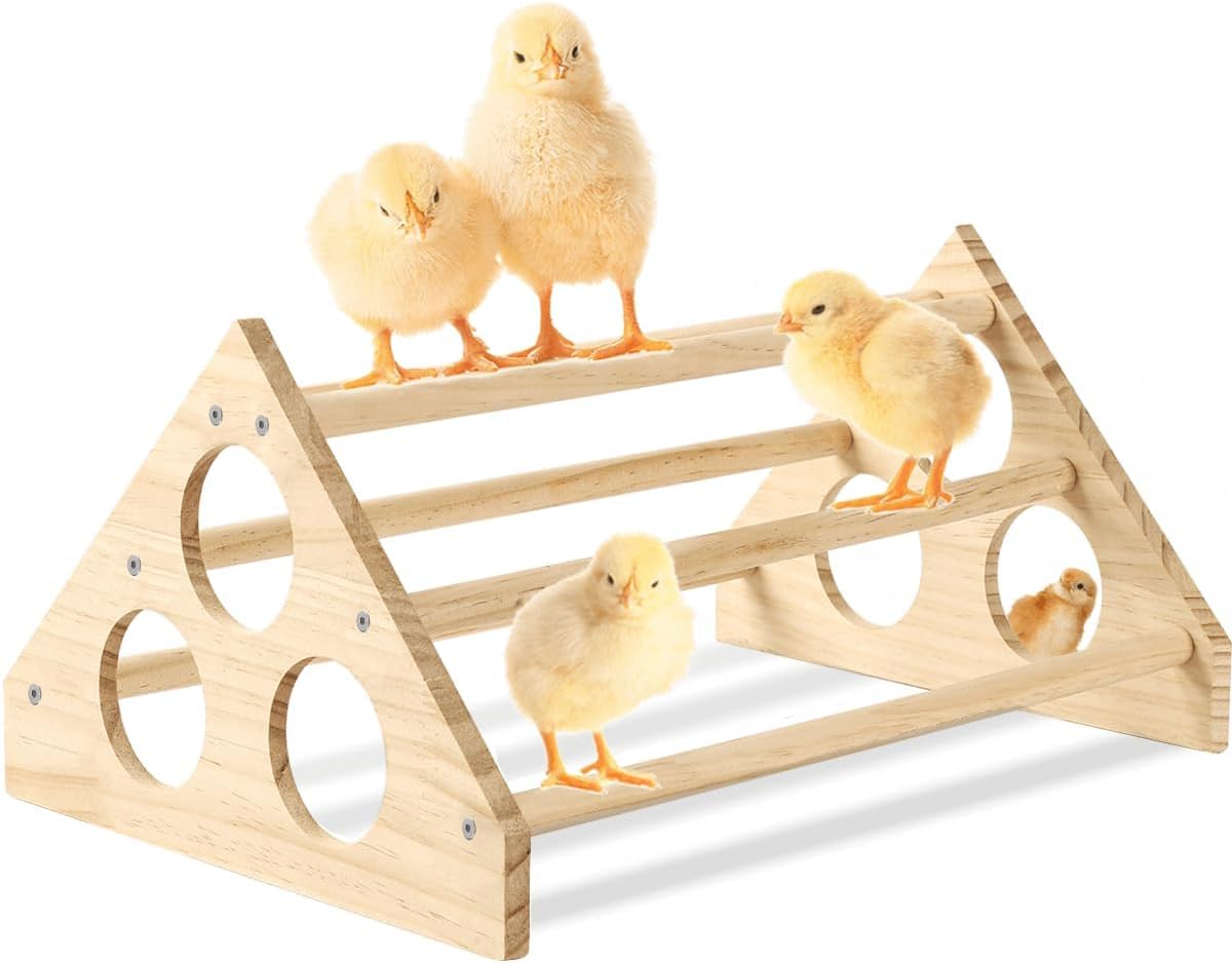 Amazon.com : Chicken Perch - for Baby Chicks [No Assembly Required ...