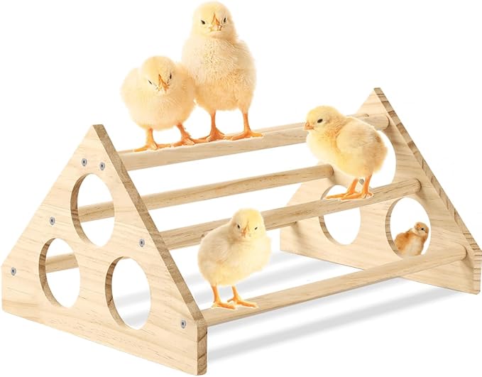 Amazon.com : vensovo Chicken Perch Roosting- Woodern Chick Roosts and ...