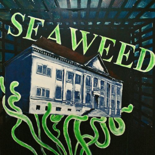 Amazon.com: Seaweed : Seaweed: Digital Music