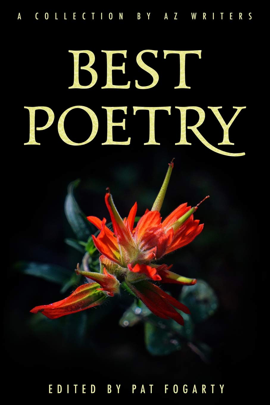 Best Poetry: Writers, AZ, Fogarty, Pat: 9781732812147: Amazon.com: Books