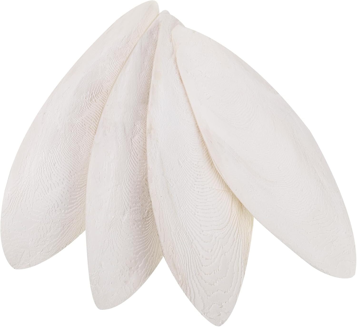 Amazon.com : XLSXEXCL 4 Pcs Bird Cuttlebone Chew Toy Cuttlefish Bones ...