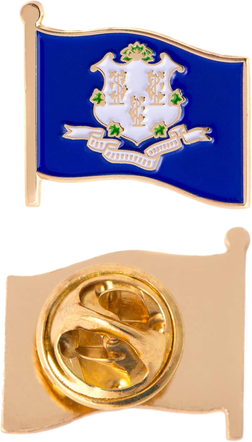 Amazon.com: Connecticut Lapel Pin CT State Enamel Made of Metal ...