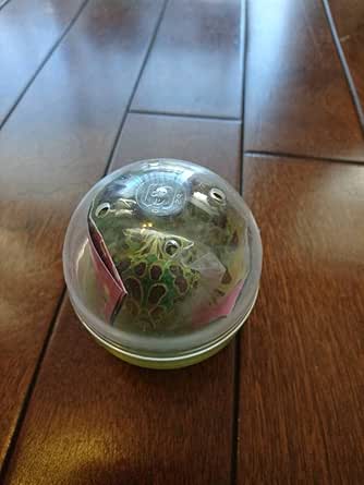 Amazon.co.jp: Nature Technicolor Woopy and Horned Frog with Red-headed ...